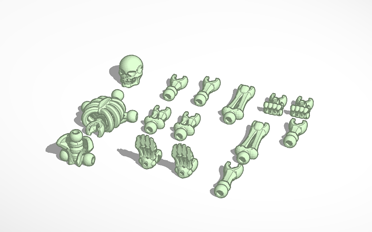 3D design Skeleton pieces - Tinkercad