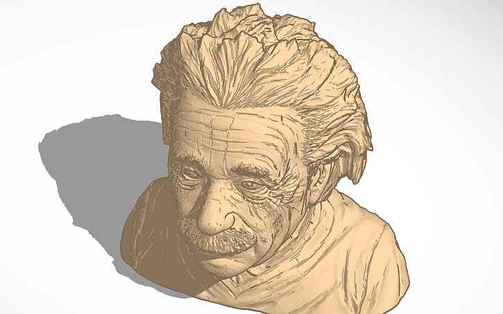 3D design Albert Einstein. - Tinkercad