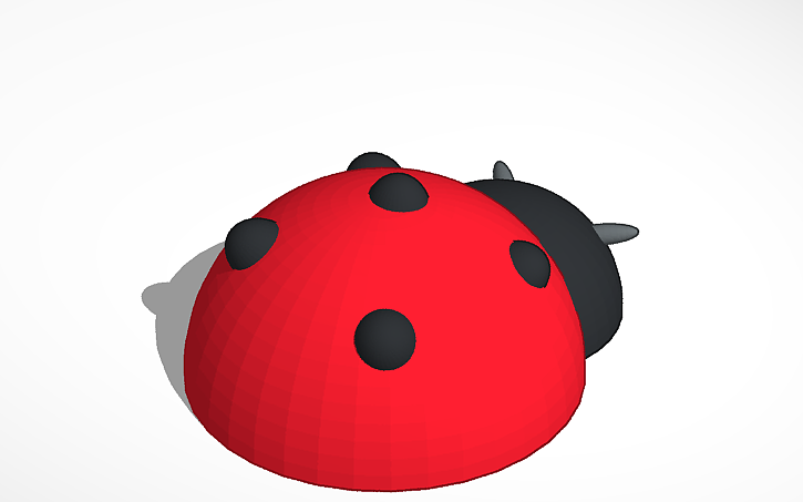 3d Design Ladybug Tinkercad