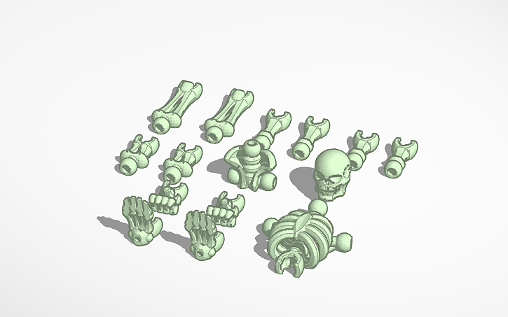 3D design bones - Tinkercad