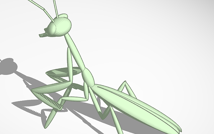 3D design Praying Mantis - Tinkercad
