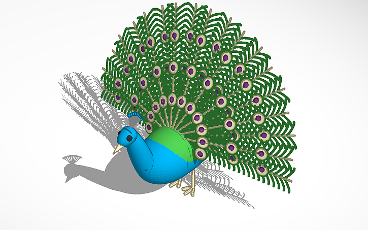 3D design PEACOCK - Tinkercad