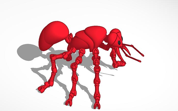 3D design ant - Tinkercad