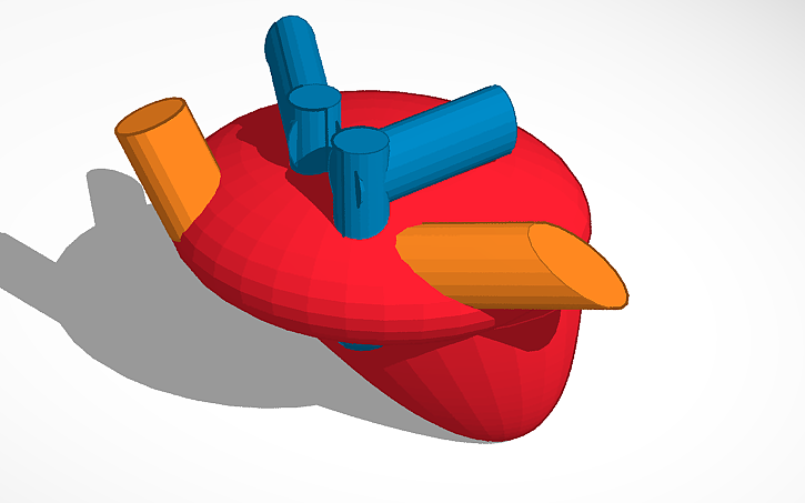 3D design Human Heart - Tinkercad