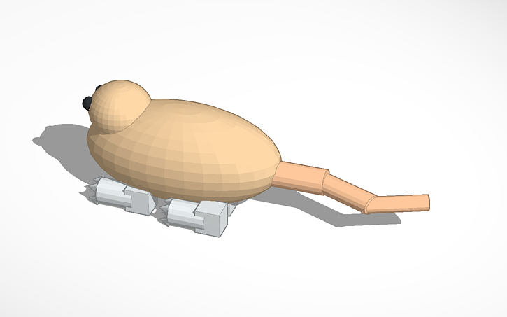 3D design vole - Tinkercad