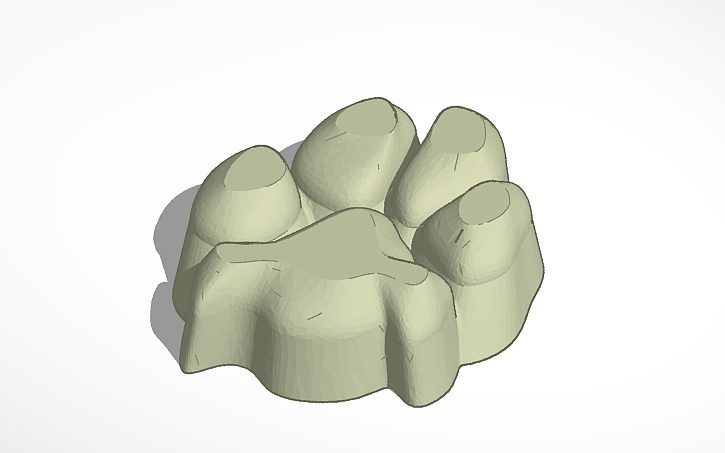 3D design paw - Tinkercad