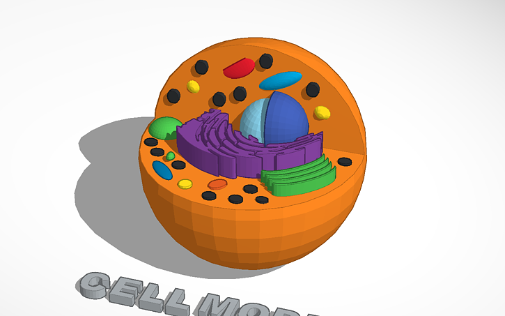 3D design Cell Model - Tinkercad