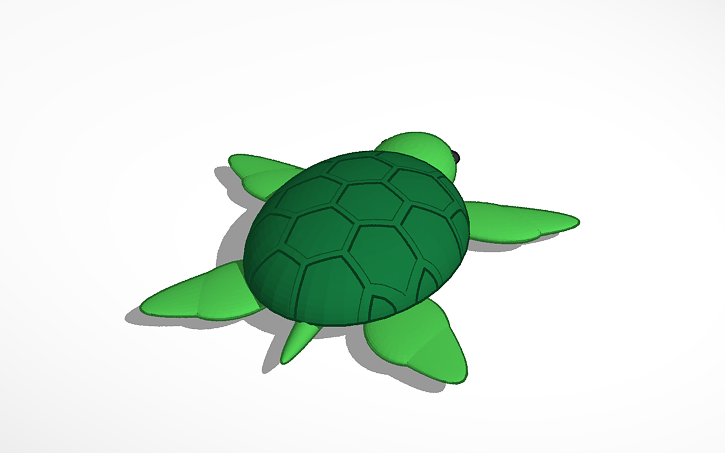 3D design Turtle - Tinkercad