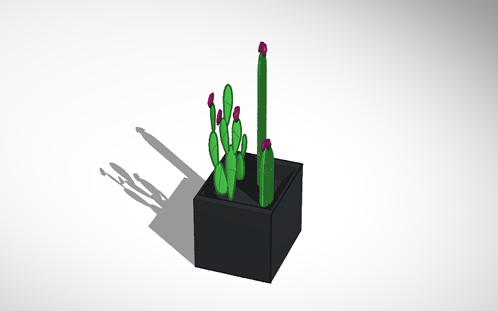 3D design CACTUS - Tinkercad