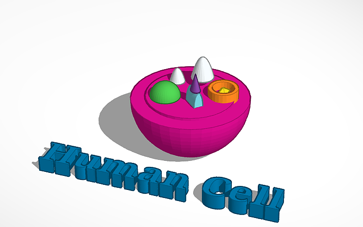 3D design Human Cell 2 - Tinkercad