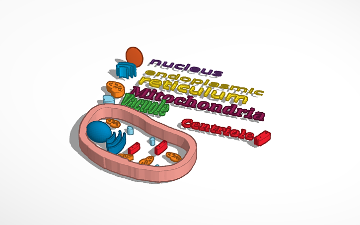 3D design Cell project- science assignment | Tinkercad