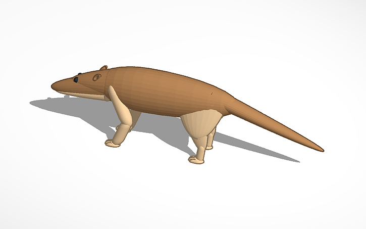 3D design Pakicetus - Tinkercad