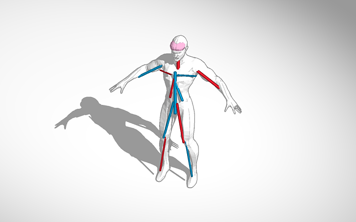 3D design Nervous System - Tinkercad