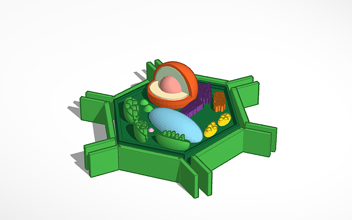3D design célula vegetal I1B - Tinkercad