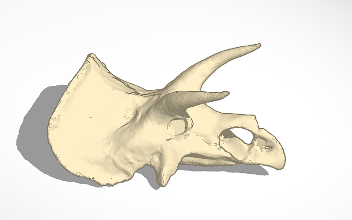 3D design Smithsonian Triceratops - Tinkercad