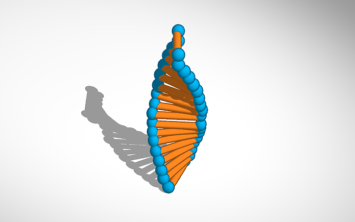 3D design dna modeli - Tinkercad