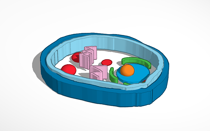 3D design science cell | Tinkercad
