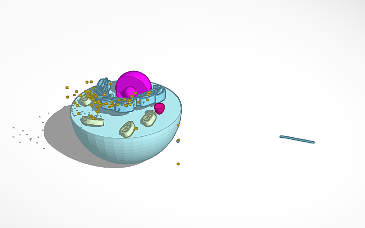 3D design Tinkercad Cell Project- Anaya | Tinkercad