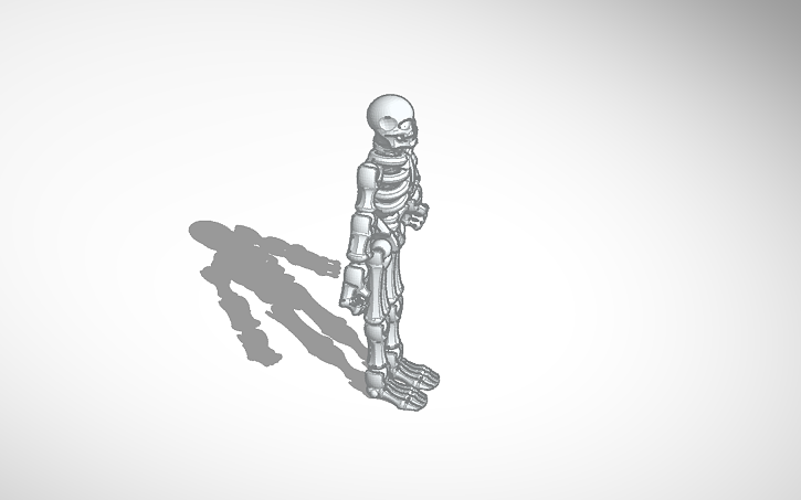 3D design Skeleton - Tinkercad
