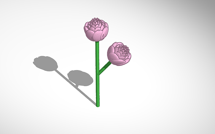 3D design Flower - Tinkercad