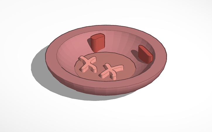 3D design prophase | Tinkercad