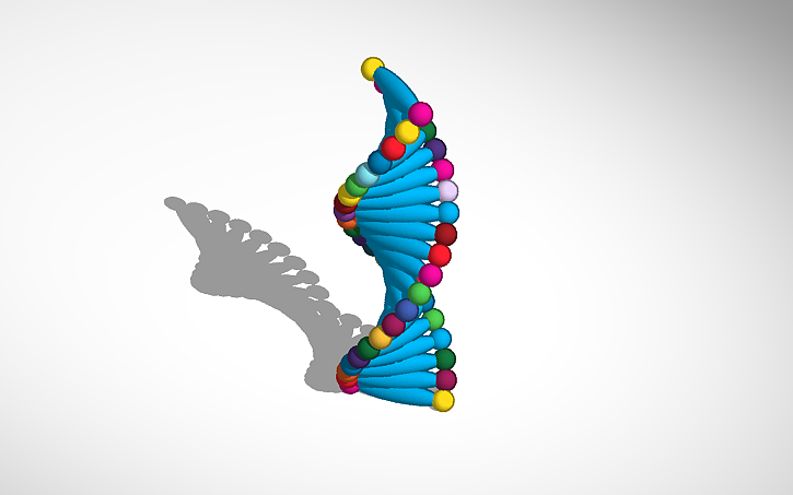 3D design DNA | Tinkercad