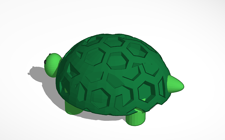 3D design turtle - Tinkercad