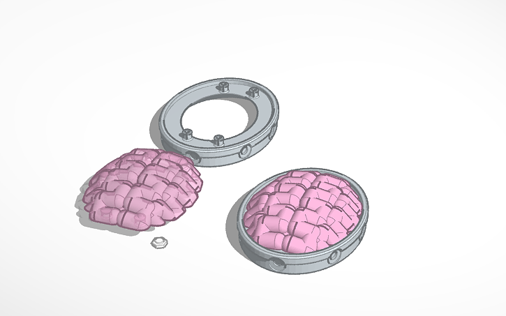 3D design Brain Cap - Tinkercad