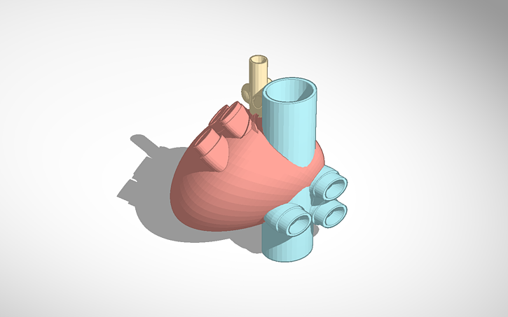 3D design heart valve - Tinkercad