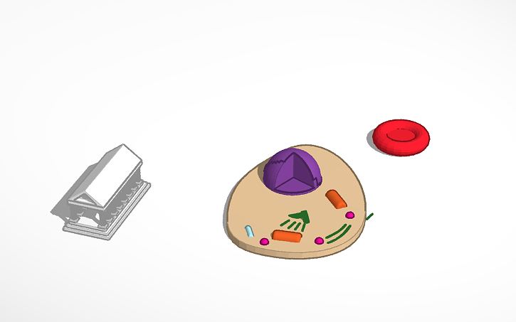 3D design Jacob Roulier-Animal Cell | Tinkercad