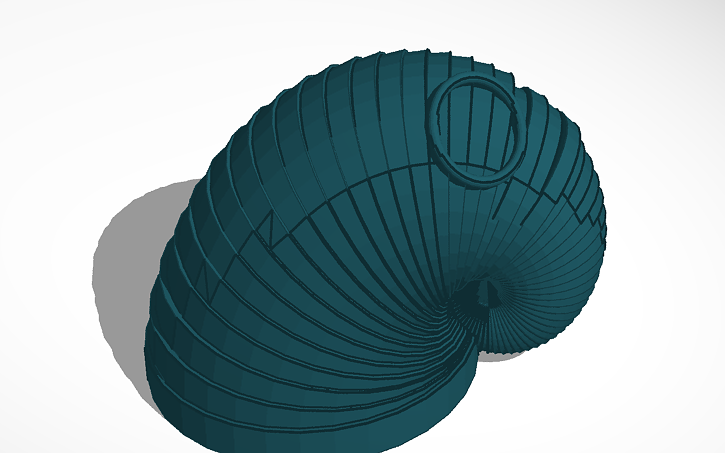 3D design moore.george.shell.blick | Tinkercad