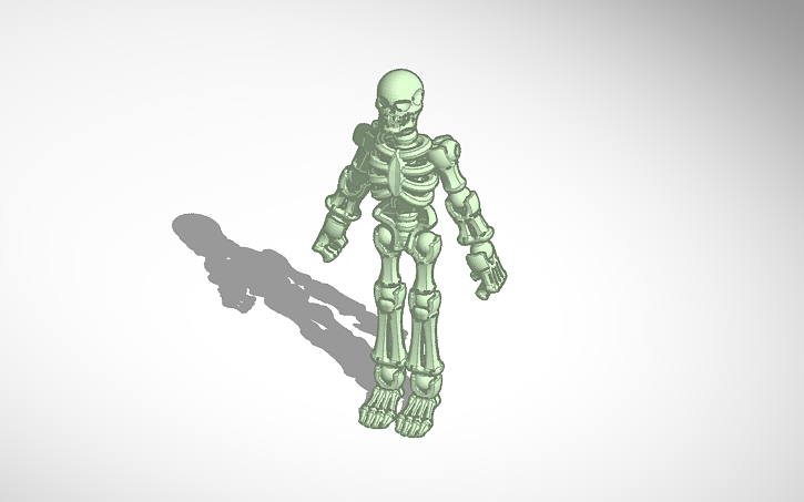 3D design My Skeleton - Tinkercad