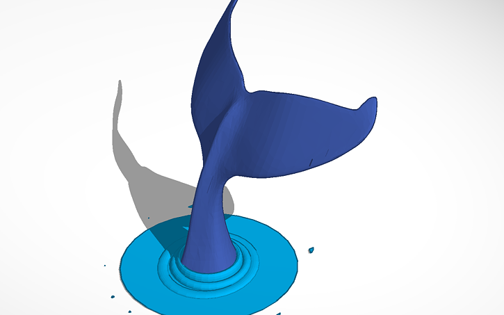 3D design whale - Tinkercad