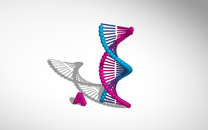 3D design DNA - אתגר 03 - Tinkercad