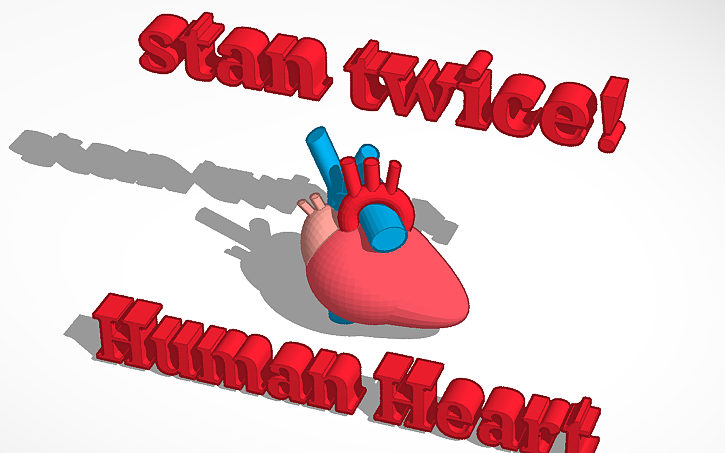 3D design Human Heart | Tinkercad