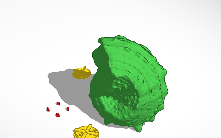 3D design Sea Shell Bank v2 - Tinkercad