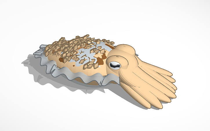3D design Cuttlefish - Tinkercad
