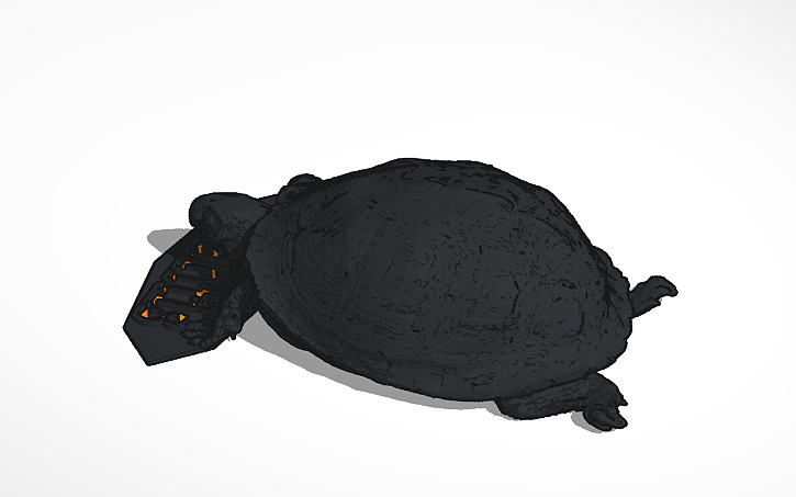 3D design Box Turtle W/Plaq | Tinkercad