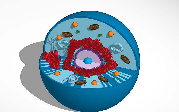 3d Design Cell Project Tinkercad