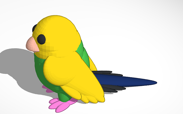 3D design parrot - Tinkercad