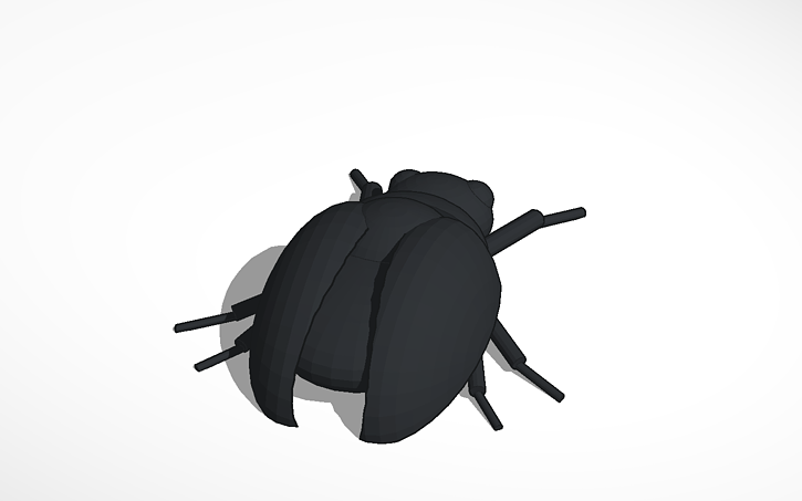 3D design Bug - Tinkercad