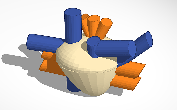 3D design Human Heart - Tinkercad