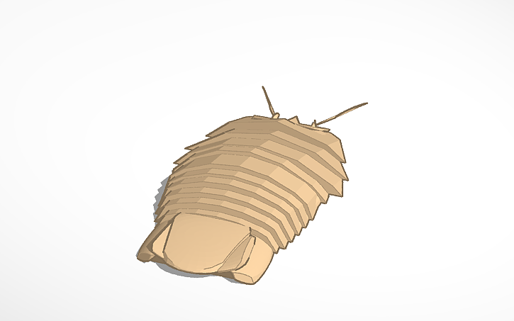 3D design Marine Isopod | Tinkercad