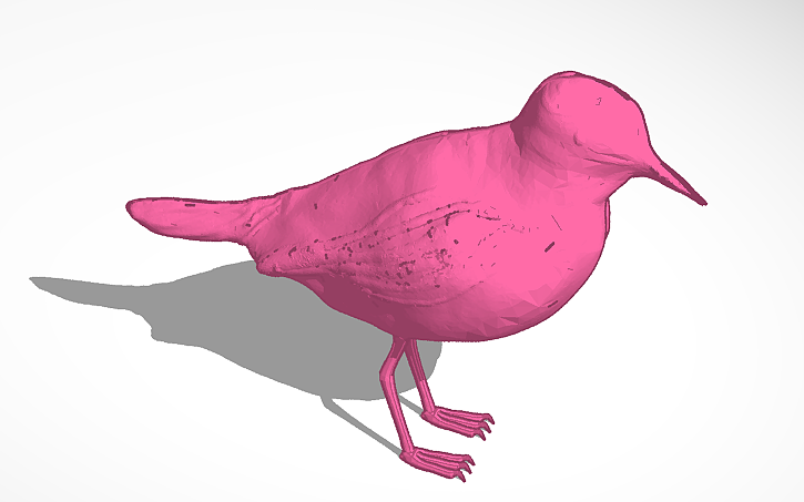 3D design Sandpiper Bird - Tinkercad