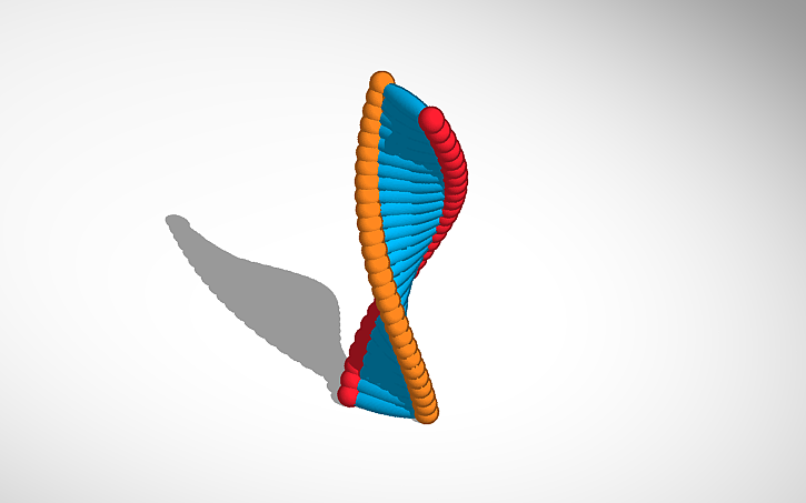 3D design dna - Tinkercad