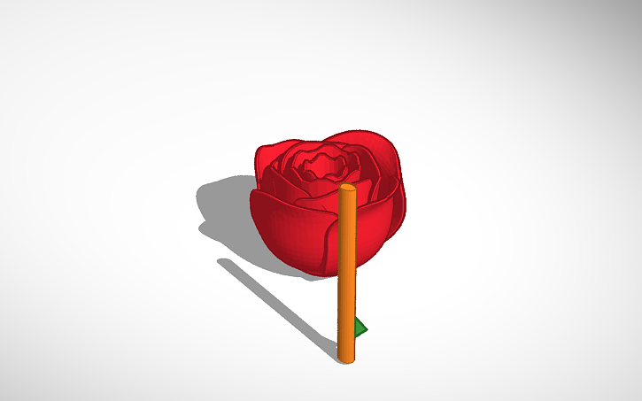 3D design lovely Rose | Tinkercad