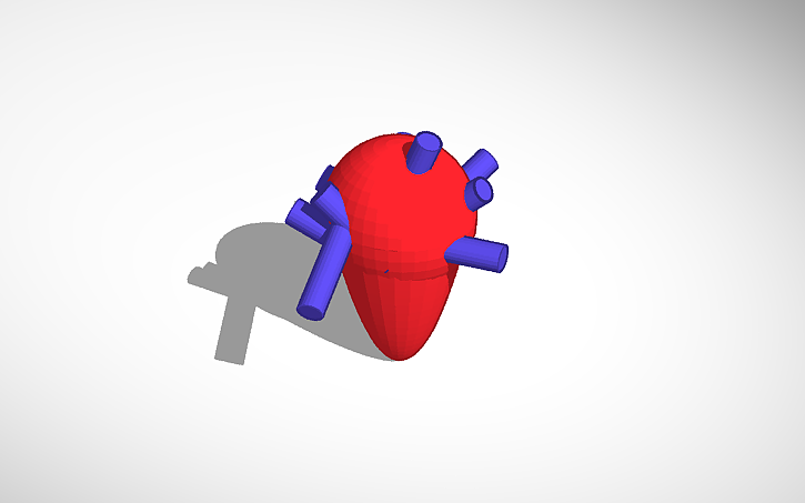 3D design heart HUMAN HEART DONT Abuse | Tinkercad