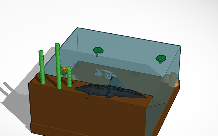 3D design swamp diorama | Tinkercad