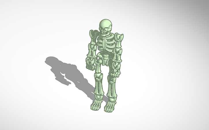 3D design Skeleton | Tinkercad