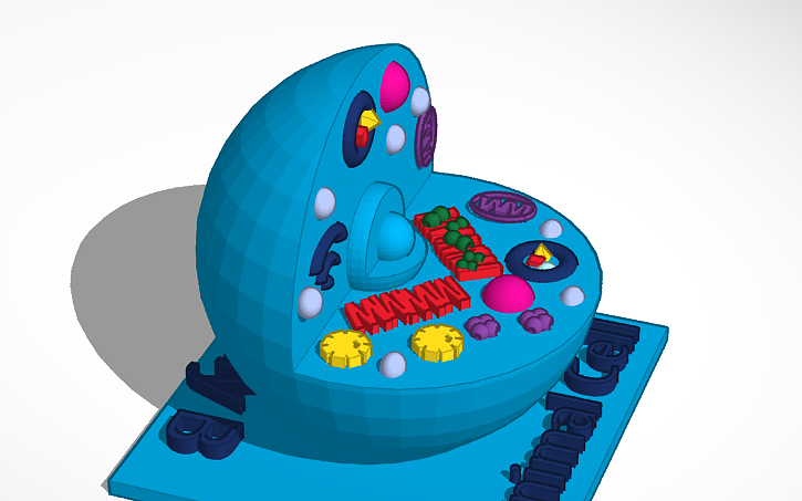 3D design Molly's Animal Cell | Tinkercad